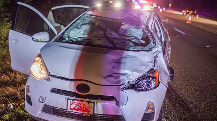 Car Hits Cow On Highway 67 | Texarkana Today