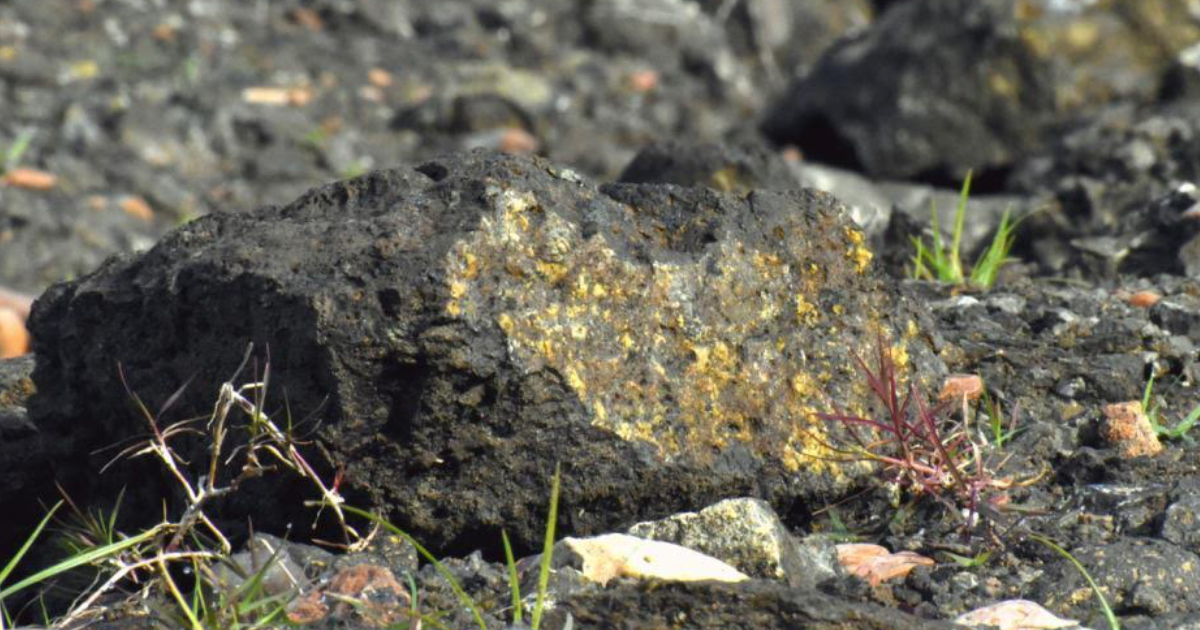 Discovering Lamproite at the Crater | Texarkana Today