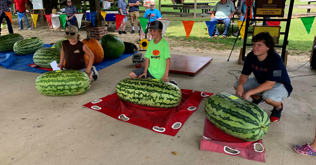 Watermelon Weighoff September 3 | Texarkana Today